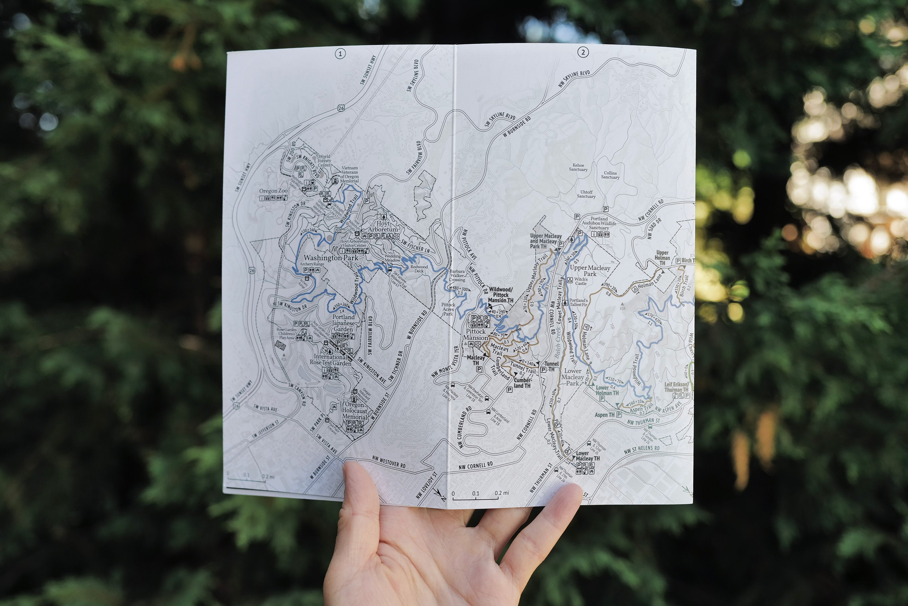 Forest Park Trail Map (Adventure Map) – Fouragers
